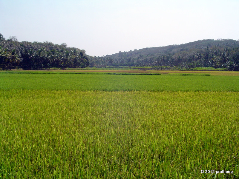 pratheep.com » Kottukkal Cave Temple pratheep.com » Kottukkal Cave Temple
